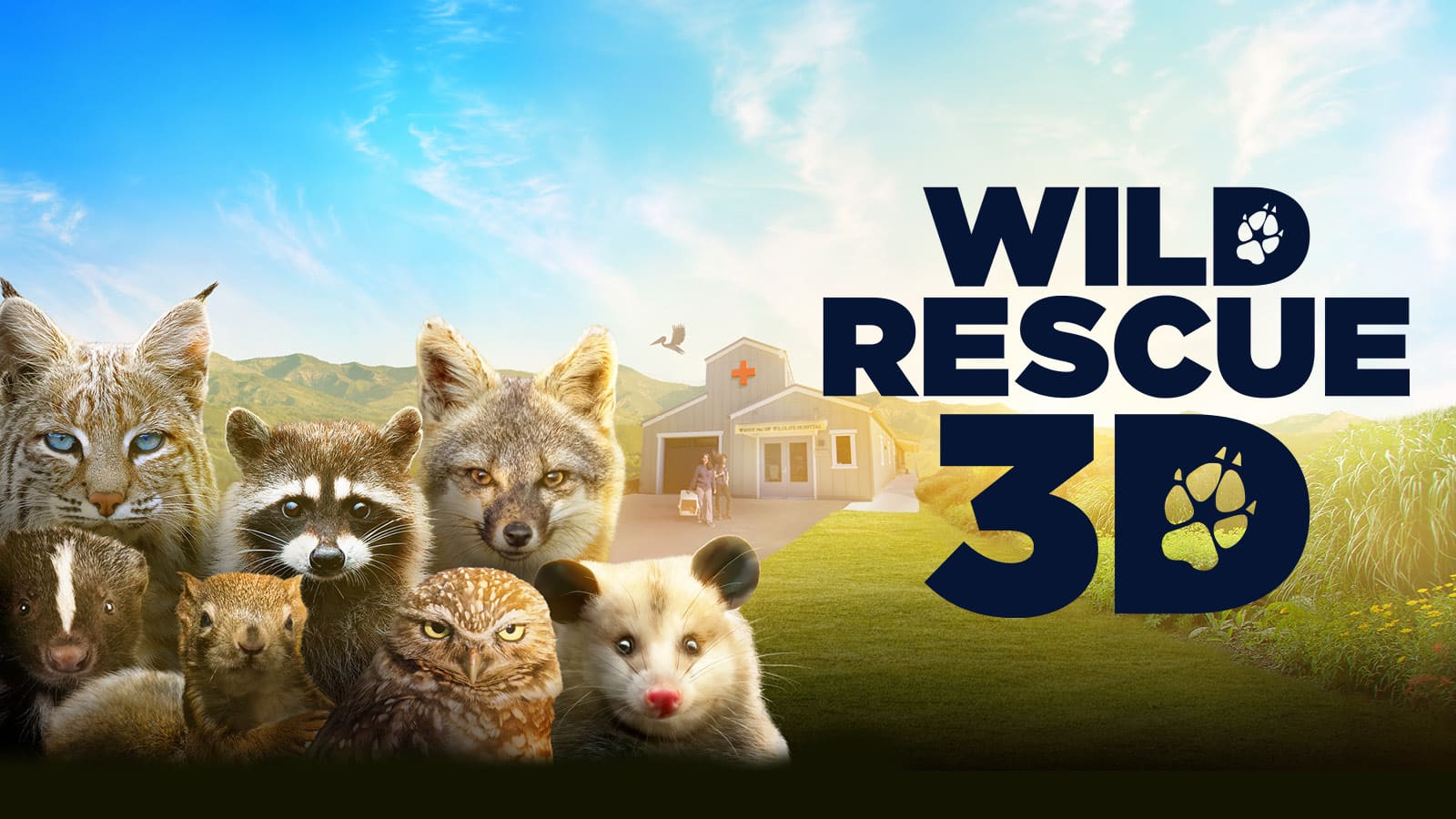 Wild Rescue - HMNS